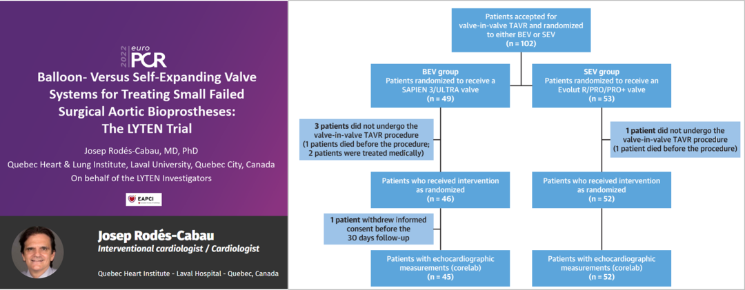 LYTEN研究 : 球扩瓣or自膨胀瓣，什么是外科瓣衰败redo-TAVR的最佳选择？-医谱
