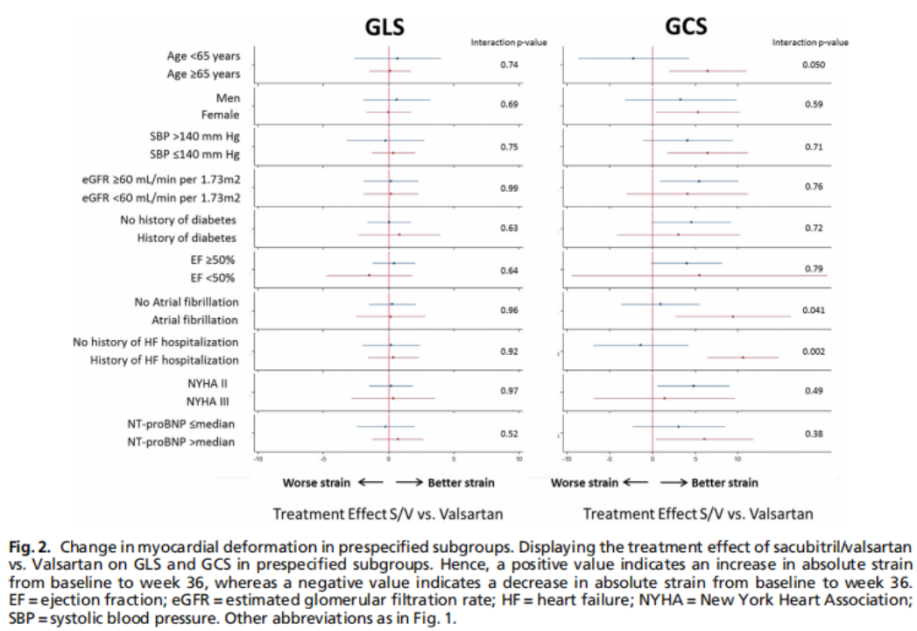 国际动态丨沙库巴曲/缬沙坦对HFpEF患者左室心肌变形的影响(PARAMOUNT试验)-医谱