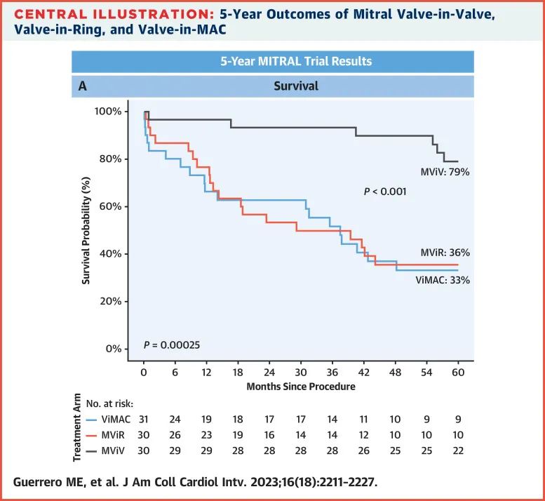 Valve-in-Valve, Valve-in-Ring, and Valve-in-MAC 5 年前瞻性研究最终结果-医谱